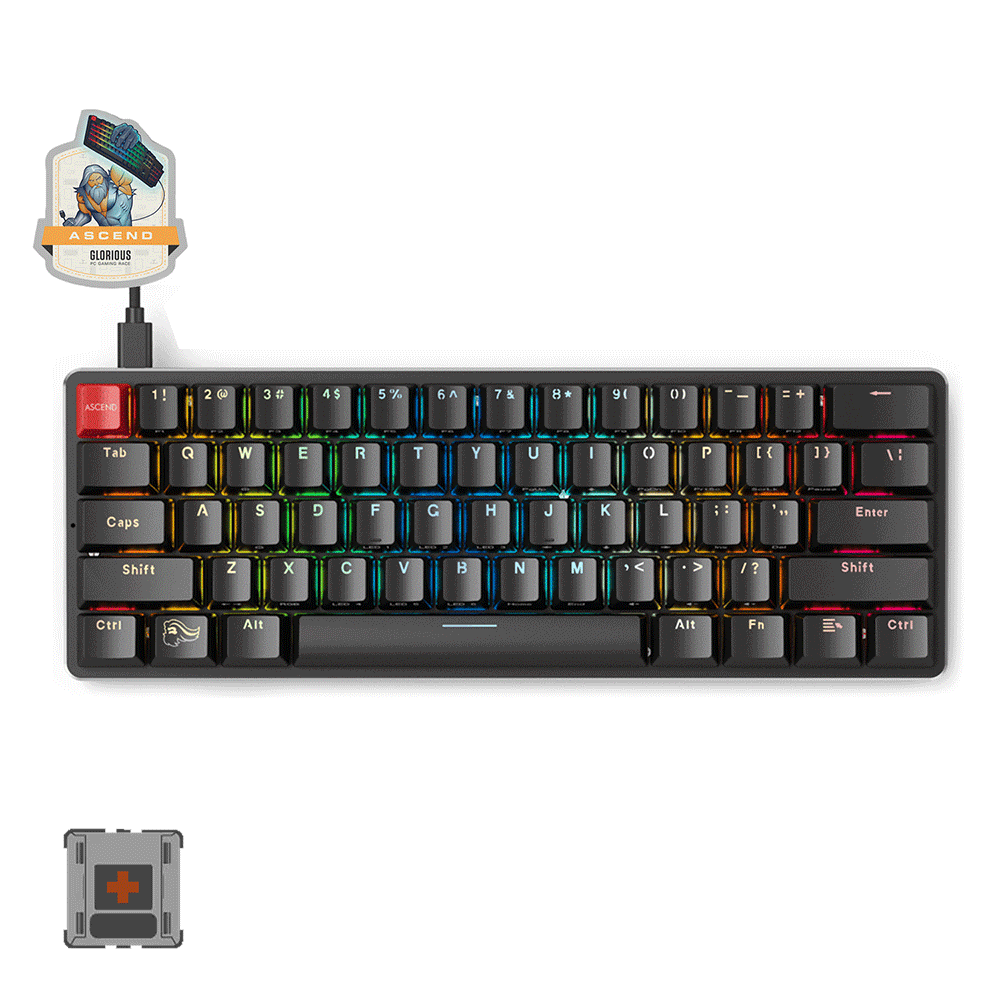 Glorious PC Gaming Race Modular Mechanical Keyboard GMMK Tenkeyless (B ...