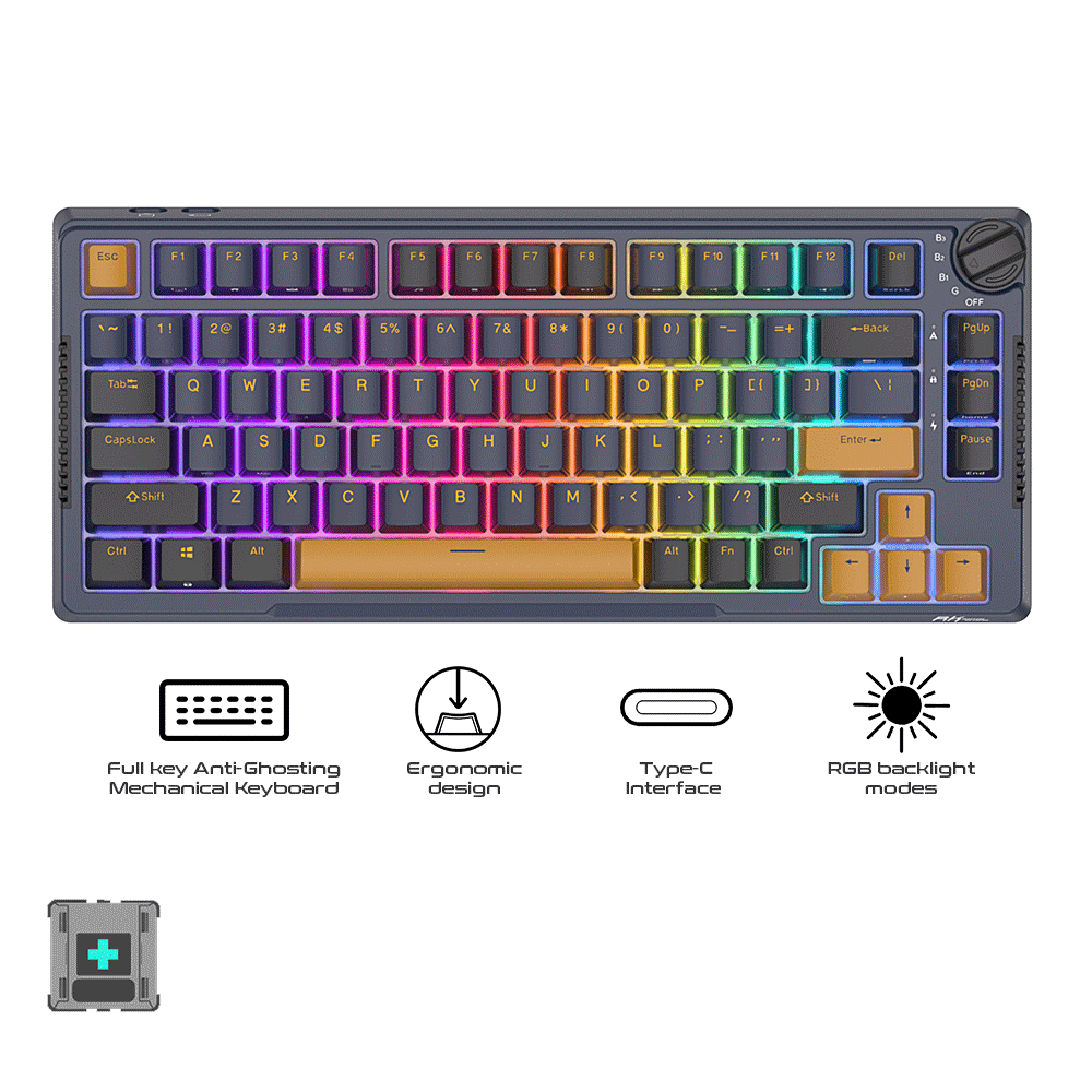 Royal Kludge RKH81 Tri Mode RGB 81 Keys Hot Swappable Mechanical Keybo ...