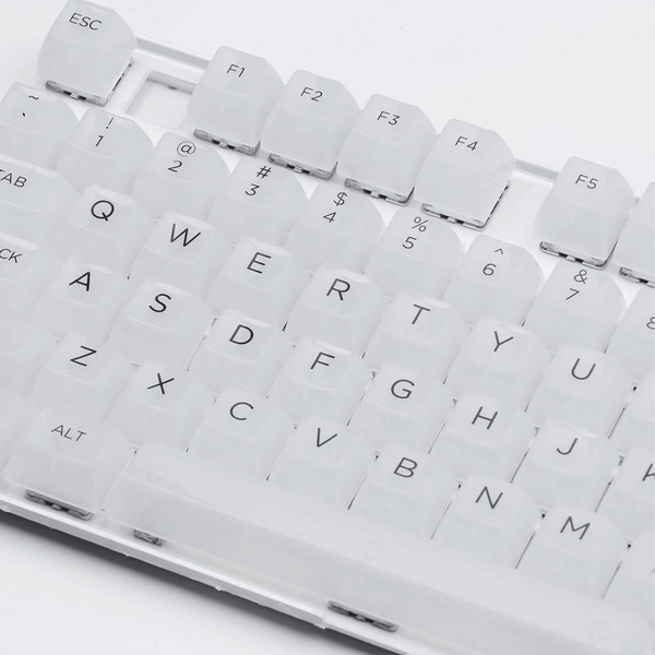 AKKO Clear Full Transparent Keycaps Set ASA 155 Keys - GameXtremePH