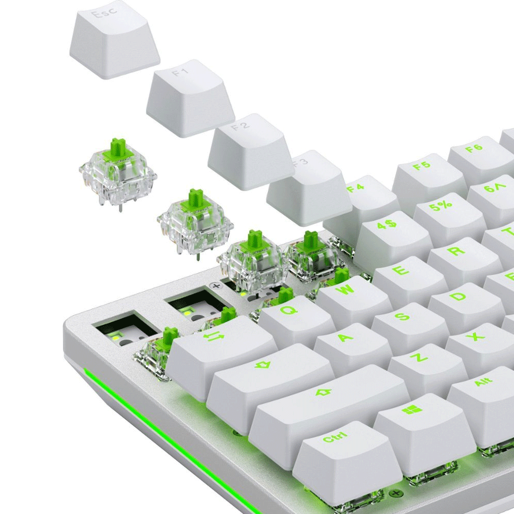 Glorious Raptor Premium Clicky Mechanical Keyboard Switches (Lubed ...