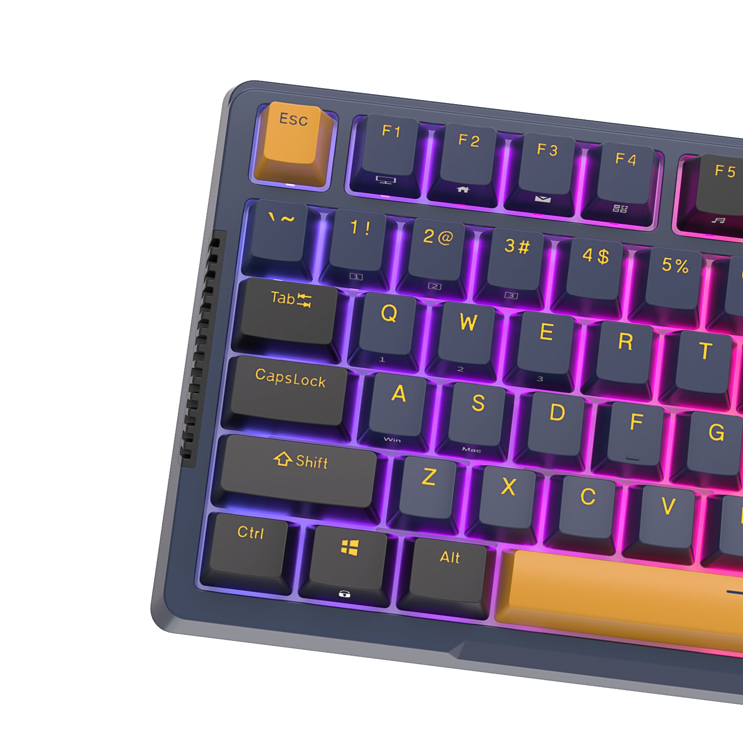 Royal Kludge RKH81 Tri-Mode RGB 81 Keys Hot Swappable Mechanical Keybo ...